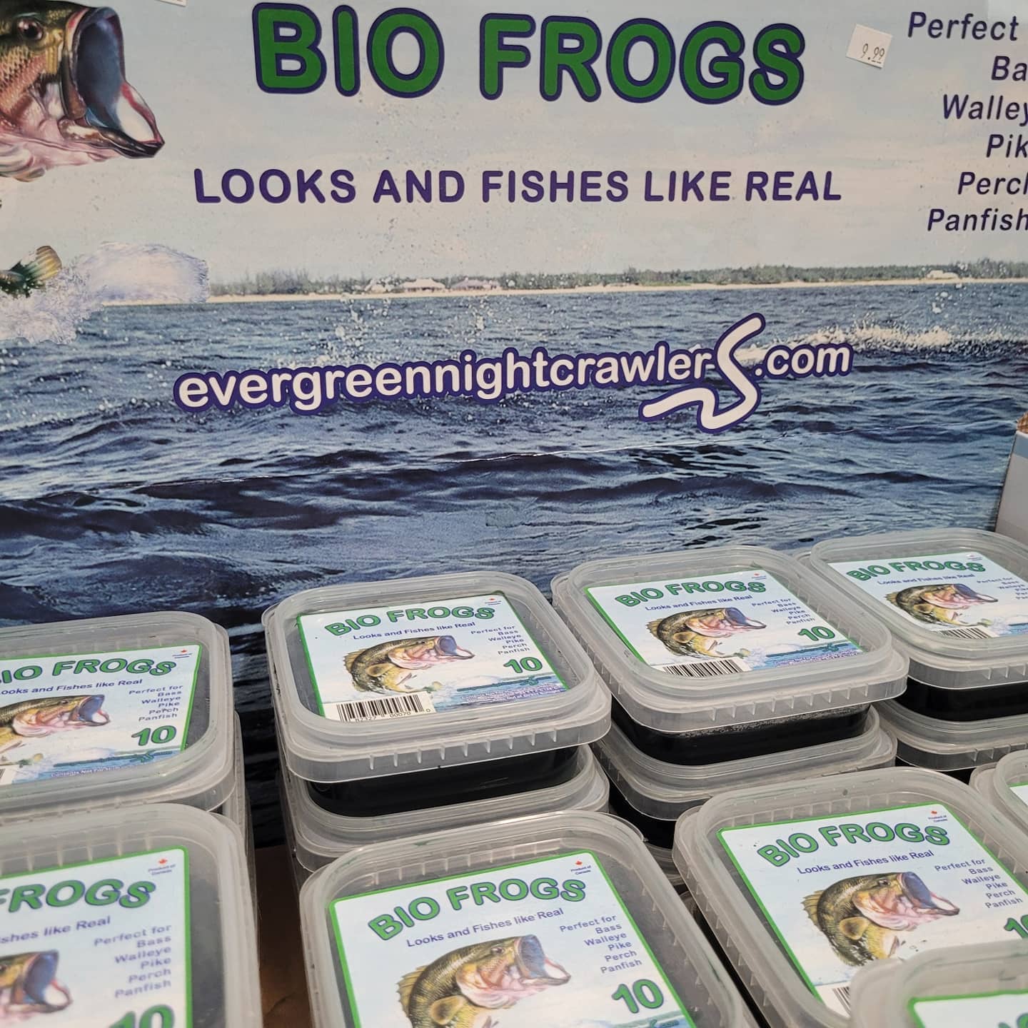 Evergreen Bio Frogs 10 ct. - Best Bait